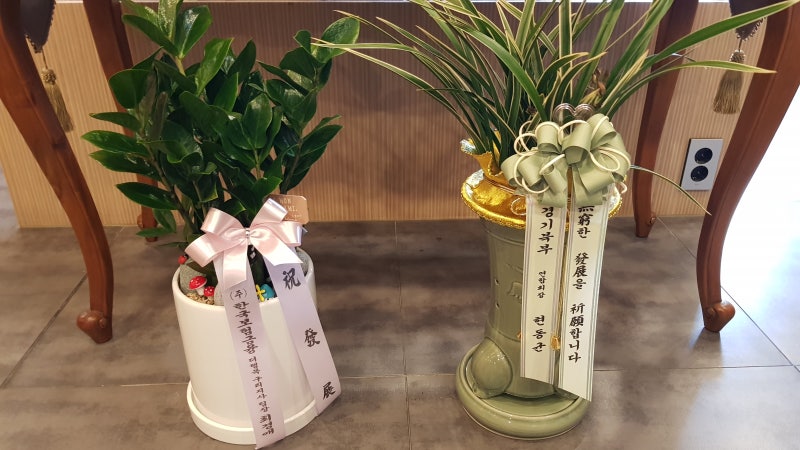 남양주 호평동 맛집 평내호평 횟집 회랑 점심 특선 일식 스시 초밥 퓨전일식 식사 네이버 블로그