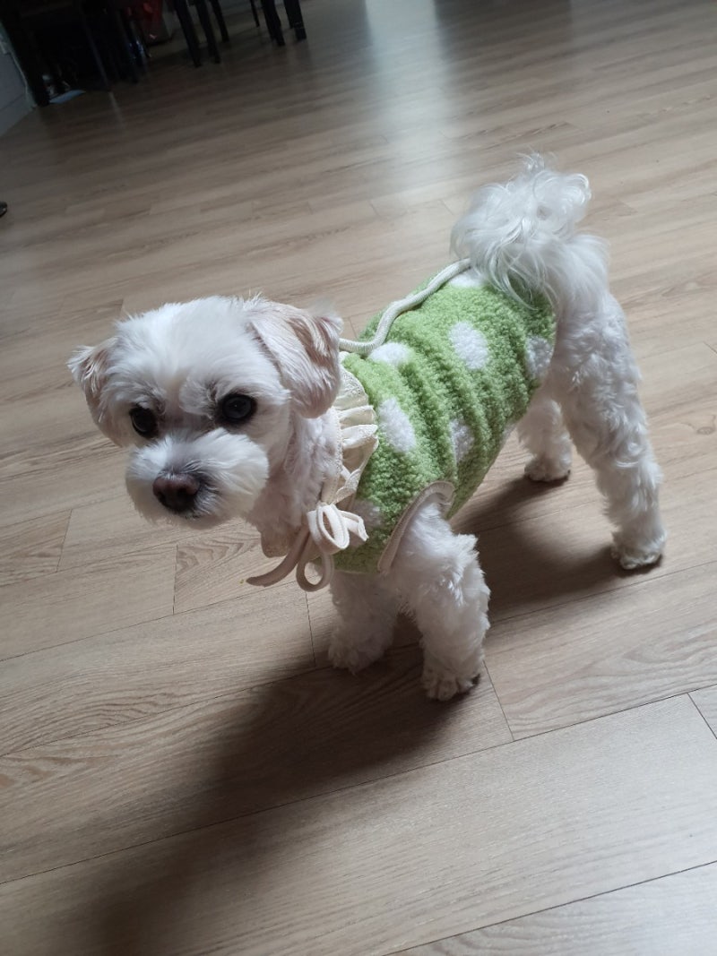 ~2020.01.29 : 네이버 블로그