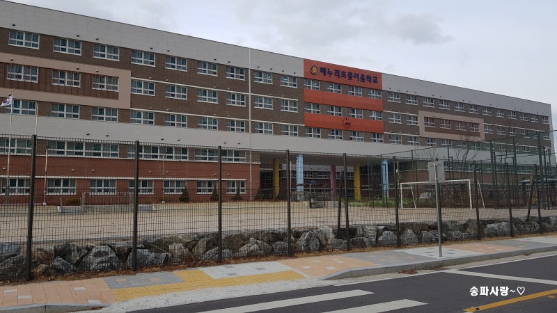 송파 헬리오시티 초등학교 학군 가락초등학교 해누리초등학교 어디로 가나요 네이버 블로그