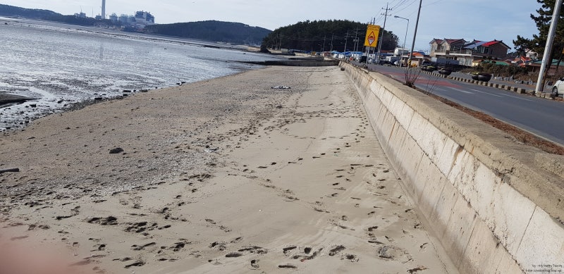 1월 해안 쓰레기 모니터링 결과 : 네이버 블로그