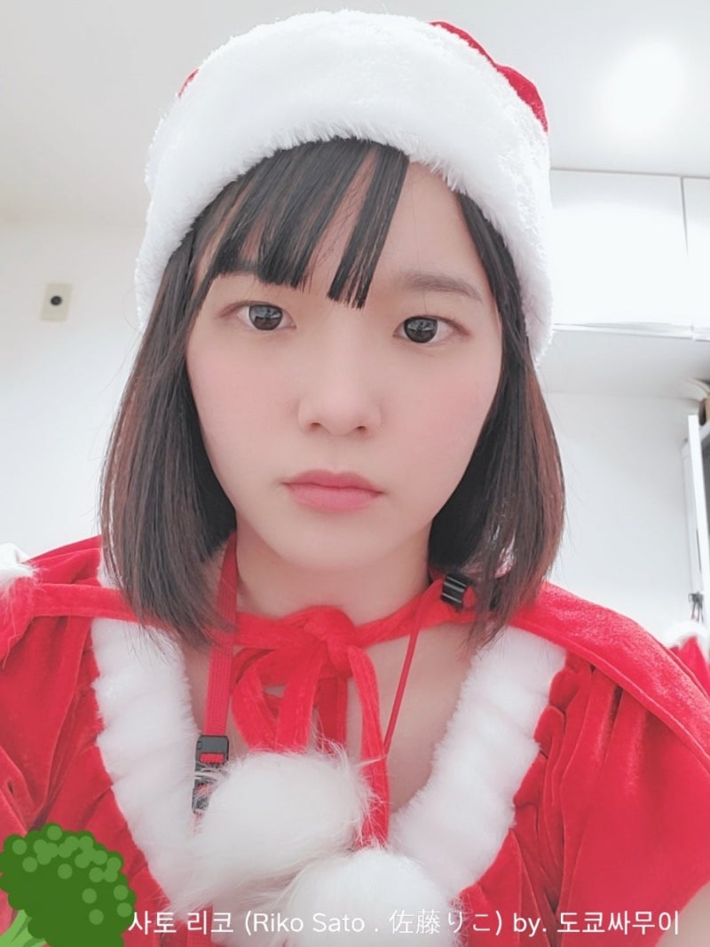 1995 / 사토 리코 / 나츠미 니코 / 사이토 리코 / 斉藤りこ / 夏海ニコ / Riko Sato / 佐藤りこ / AV