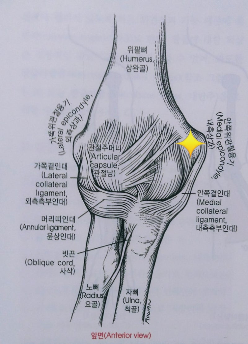 안쪽위관절융기염(골프엘보 재활운동, Golfer's elbows) : 네이버 블로그