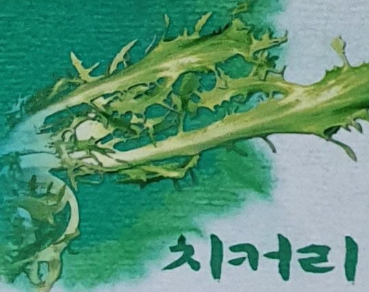 쌈 채소 상추케일깻잎쌈추치커리적근대 효능먹는법 네이버 블로그