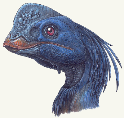 32장. 화려한 부채 꼬리; 오비랍토로사우루스류 : 네이버 블로그