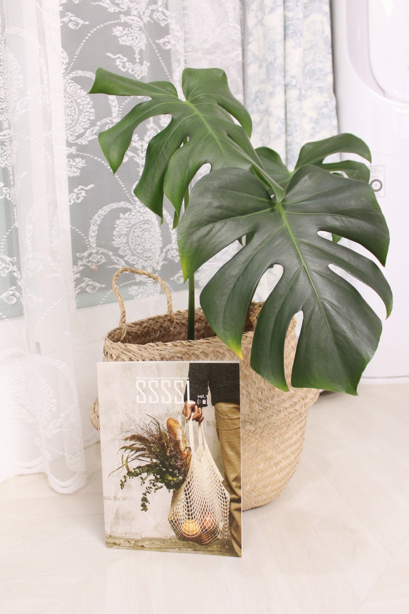 [살림일기] 미니멀라이프 & 제로웨이스트 살림 잡지 쓸(SSSSL) 구매 : 네이버 블로그