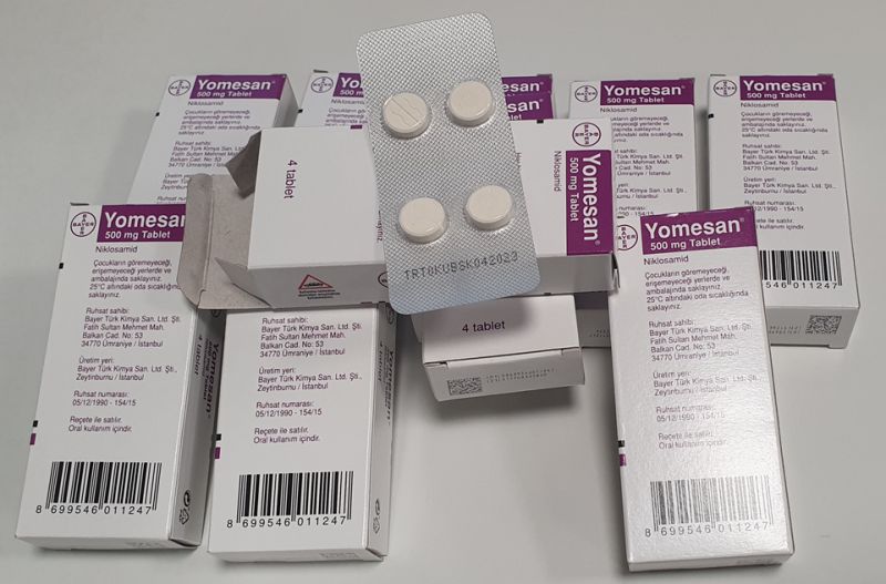 니클로사마이드 (Niclosamid, 니크로사마이드) 작용 기전 및 구매 후기 : 네이버 블로그