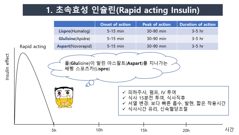 인슐린insulin 종류별 특징 초속효성속효성중간형장기형혼합형 네이버 블로그