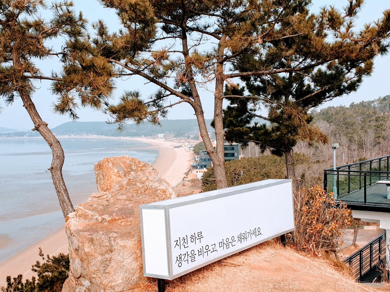 인천카페 인천 분위기 좋은 카페 인천 바다뷰 카페 인천 영종도 절벽 카페 엠클리프 가격메뉴 네이버 블로그