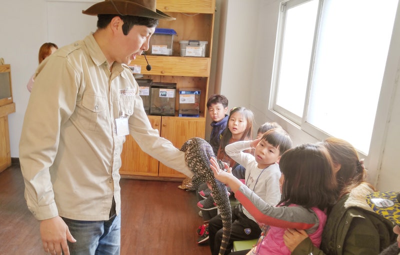 화성시 가볼만한곳 체험학습과 파충류분양전문 센트럴곤충생태농장 소개해요 네이버 블로그