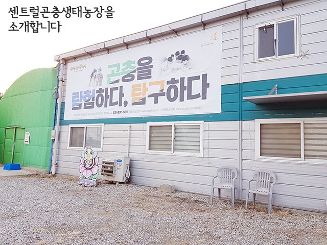 화성시 가볼만한곳 체험학습과 파충류분양전문 센트럴곤충생태농장 소개해요 네이버 블로그