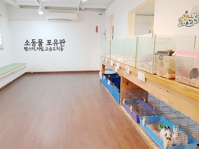 화성시 가볼만한곳 체험학습과 파충류분양전문 센트럴곤충생태농장 소개해요 네이버 블로그
