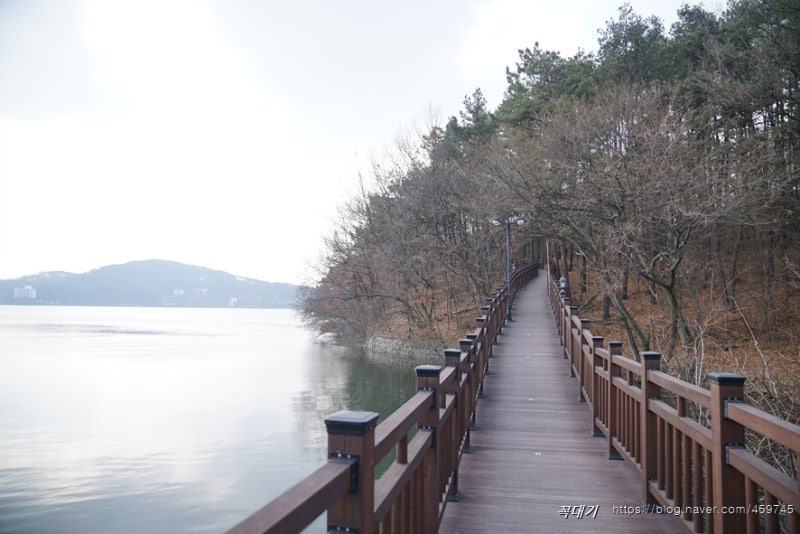 논산 대명산 181m And 탑정호소풍길수변생태공원 둘레길 출렁다리 네이버 블로그