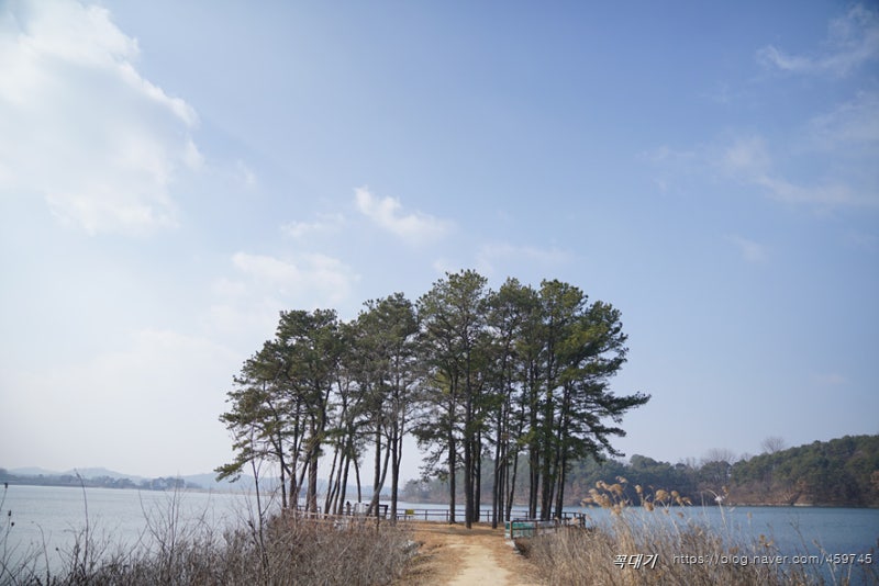 논산 대명산 181m And 탑정호소풍길수변생태공원 둘레길 출렁다리 네이버 블로그
