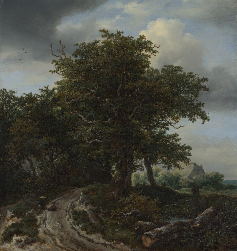 Jacob van Ruisdael : 네이버 블로그
