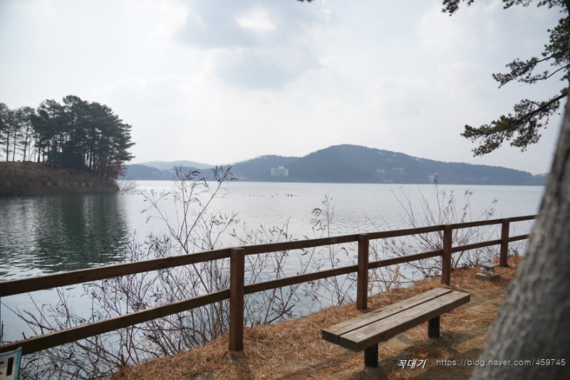 논산 대명산 181m And 탑정호소풍길수변생태공원 둘레길 출렁다리 네이버 블로그