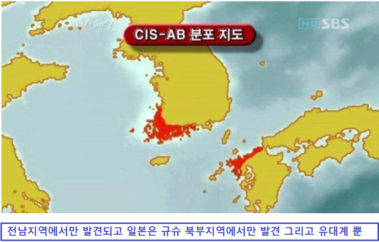 세계적으로 희귀한 혈액형 "CIS-AB"형... 지구촌 혈액형 : 네이버 블로그