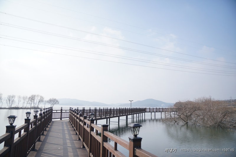 논산 대명산 181m And 탑정호소풍길수변생태공원 둘레길 출렁다리 네이버 블로그