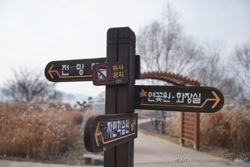 논산 대명산 181m And 탑정호소풍길수변생태공원 둘레길 출렁다리 네이버 블로그