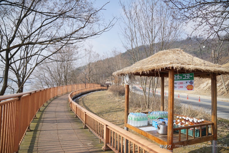 논산 대명산 181m And 탑정호소풍길수변생태공원 둘레길 출렁다리 네이버 블로그