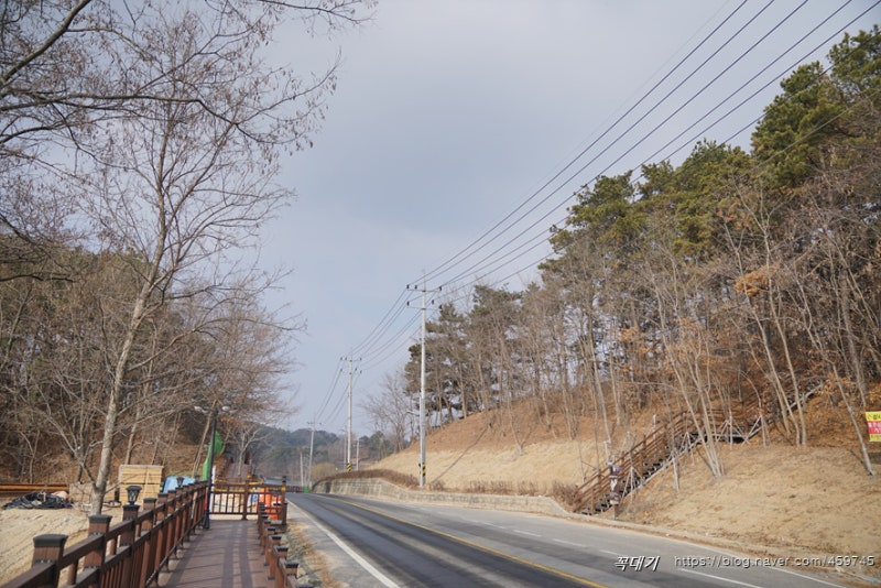 논산 대명산 181m And 탑정호소풍길수변생태공원 둘레길 출렁다리 네이버 블로그