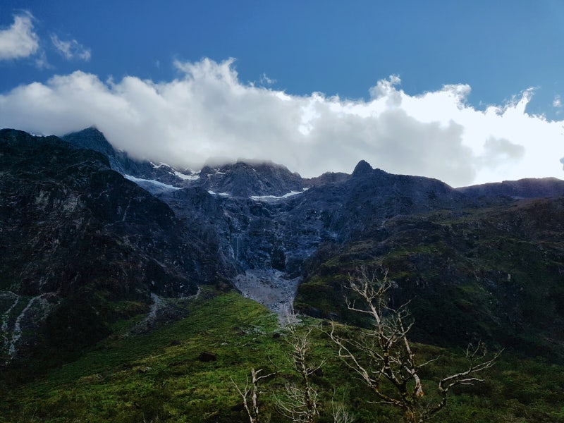 [뉴질랜드] 피오르랜드 국립공원 에글링턴계곡 미러레이크 몽키크릭 : 네이버 블로그