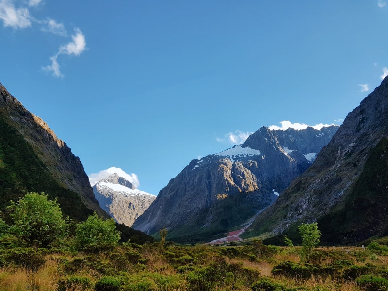 [뉴질랜드] 피오르랜드 국립공원 에글링턴계곡 미러레이크 몽키크릭 : 네이버 블로그