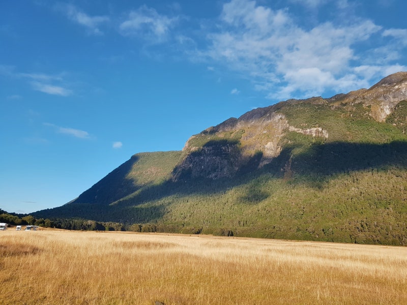 [뉴질랜드] 피오르랜드 국립공원 에글링턴계곡 미러레이크 몽키크릭 : 네이버 블로그