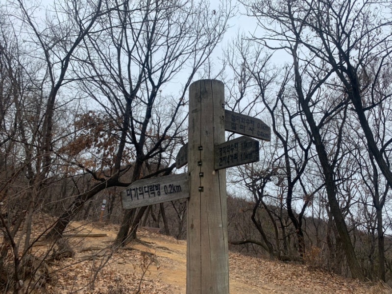 인천 원적산 등산 코스 인천2호선 등산 추천 진천토종순대 가는법 원적산 맛집 추천 동주르등산04 네이버 블로그