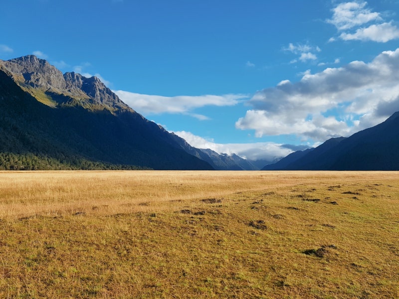 [뉴질랜드] 피오르랜드 국립공원 에글링턴계곡 미러레이크 몽키크릭 : 네이버 블로그
