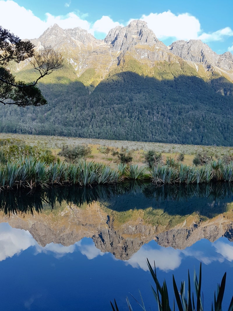 [뉴질랜드] 피오르랜드 국립공원 에글링턴계곡 미러레이크 몽키크릭 : 네이버 블로그