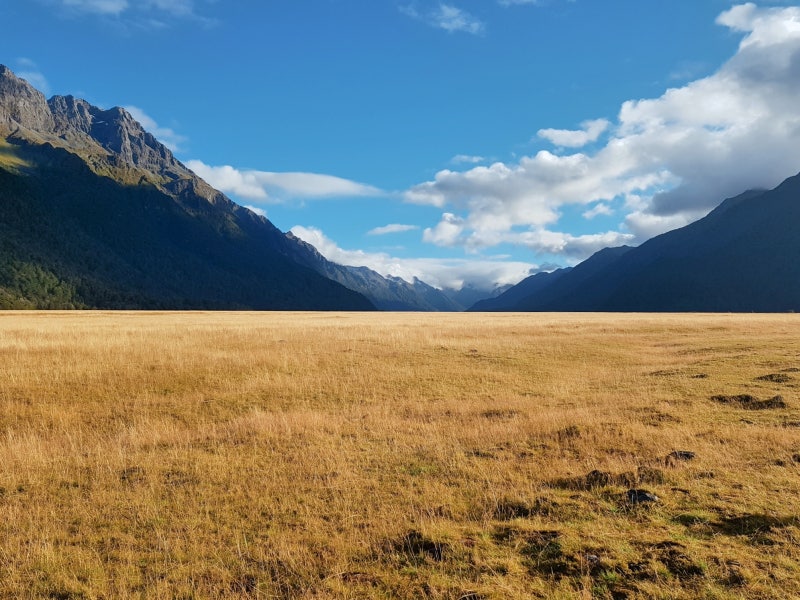 [뉴질랜드] 피오르랜드 국립공원 에글링턴계곡 미러레이크 몽키크릭 : 네이버 블로그