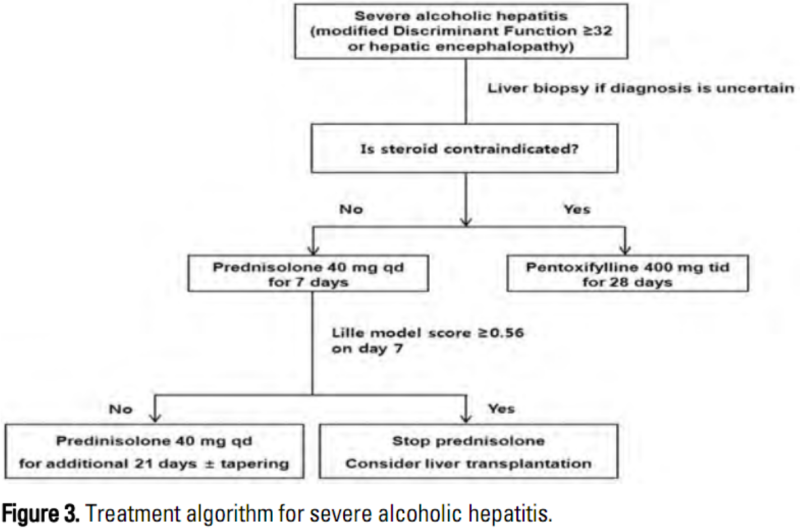 [알코올성 간질환] 알코올 간염, 알코올 간경변 진단 및 치료, 알코올 지방간, 알코올 간질환의 자연경과 : 네이버 블로그