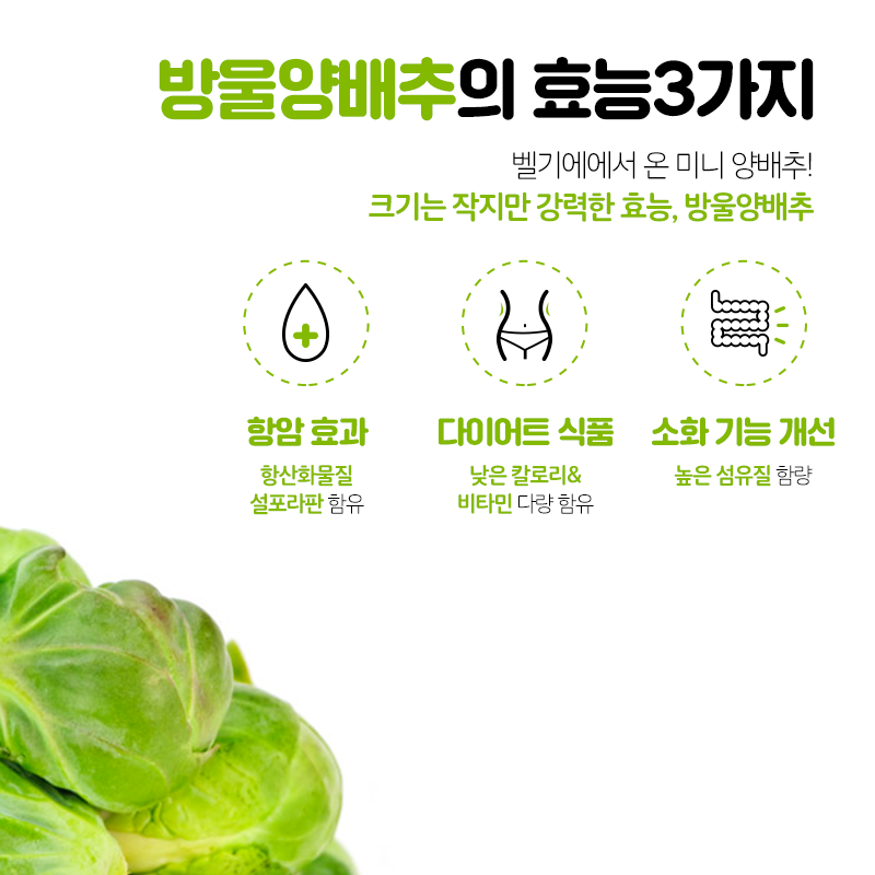 위에 좋은 양배추 효능 부작용 1일 섭취량 주의사항 A19