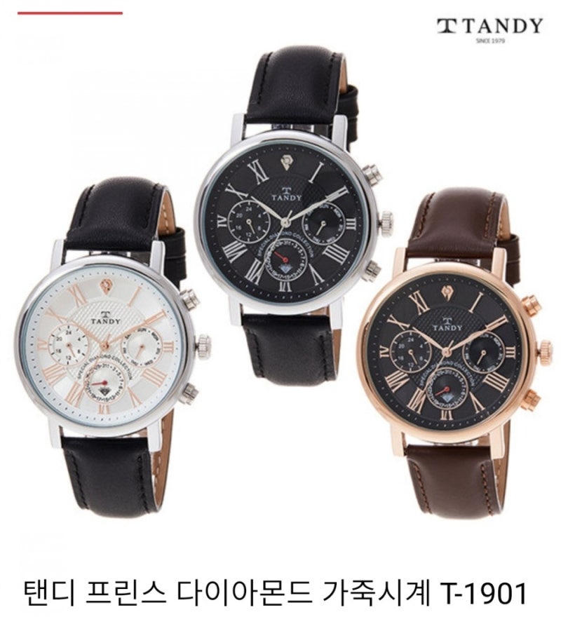 #텐디 시계 T-1901#TANDY watch#패션 시계 #명품시계#시계 이야기 #명품시계 등급 : 네이버 블로그