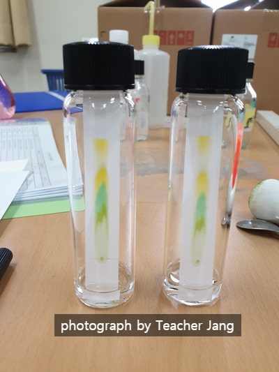 Part1 실험 메뉴얼 종이 크로마토그래피와 Tlc를 이용한 시금치의 광합성 색소 분리 네이버 블로그