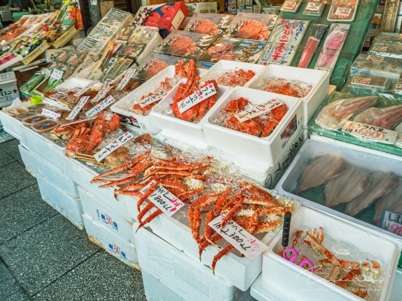 삿포로 니조시장 맛집 오이소 솔직 후기 삿포로 카이센동 정말 맛있을까 오이소 위치 메뉴 소개 네이버 블로그