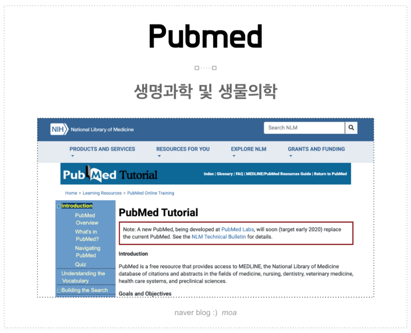 Chat Gpt 활용 영어학습구어체 문법 논문 레퍼런스 찾기 등 빛처럼