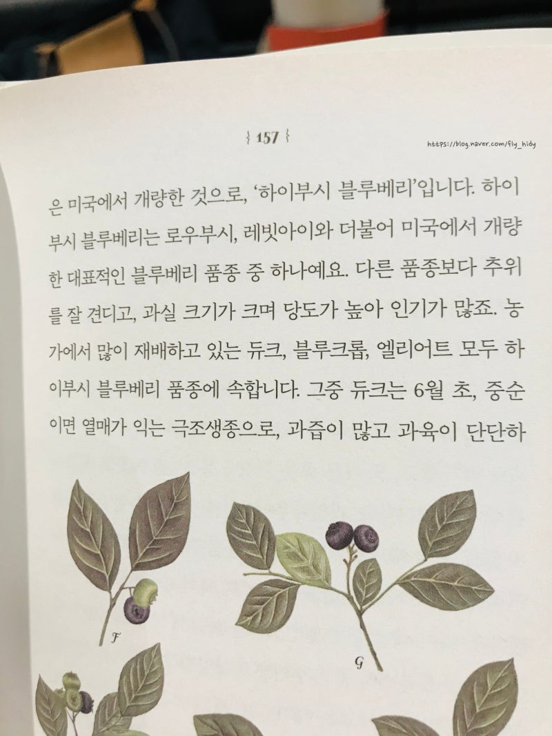 219 식물의 책 By 이소영 식물도감 식물세밀화 네이버 블로그