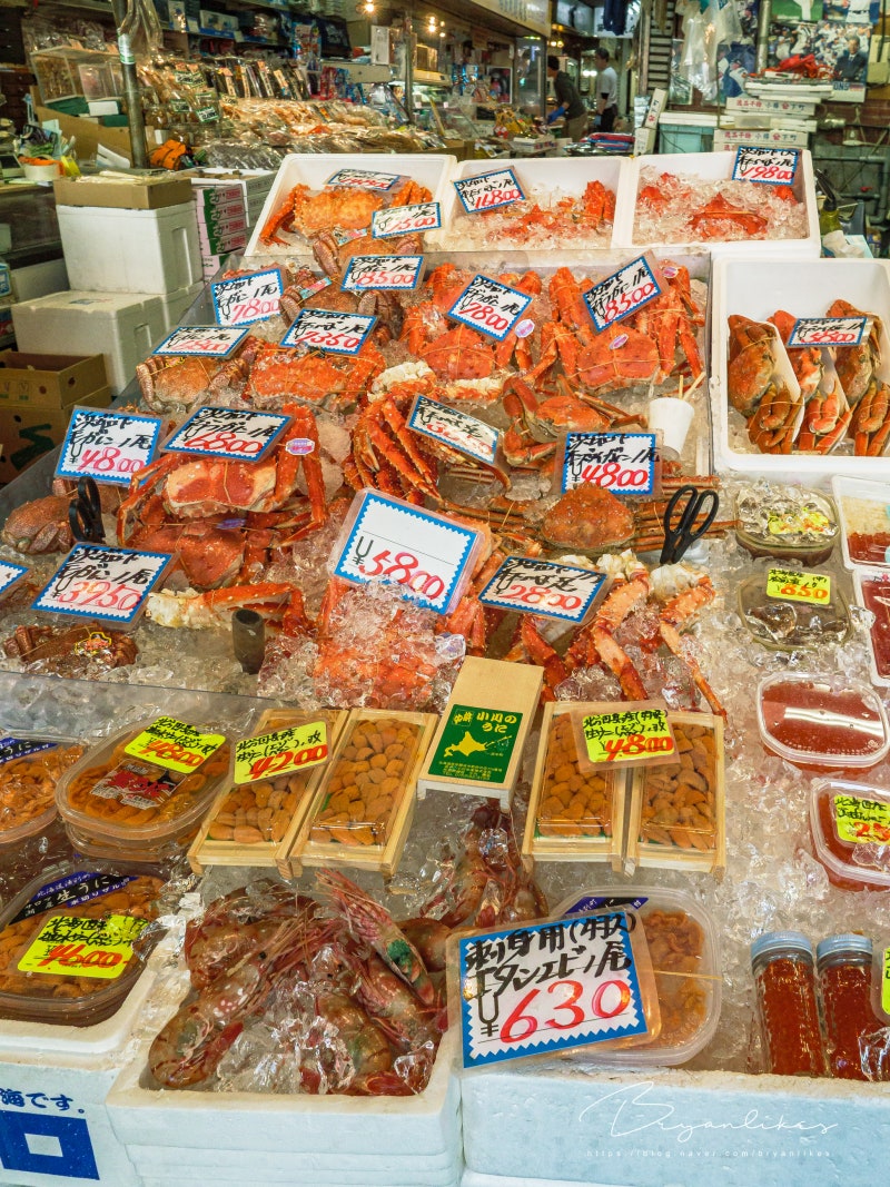 삿포로 니조시장 맛집 오이소 솔직 후기 삿포로 카이센동 정말 맛있을까 오이소 위치 메뉴 소개 네이버 블로그