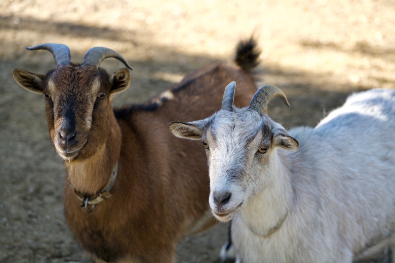 Death every day : 네이버 블로그