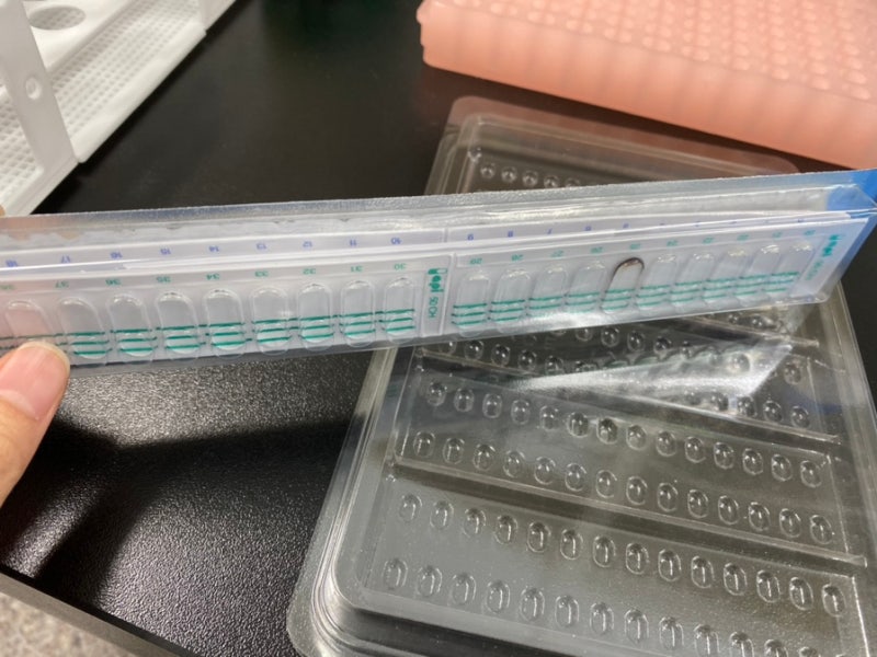 API 50CH, 50 CHL Medium : 네이버 블로그