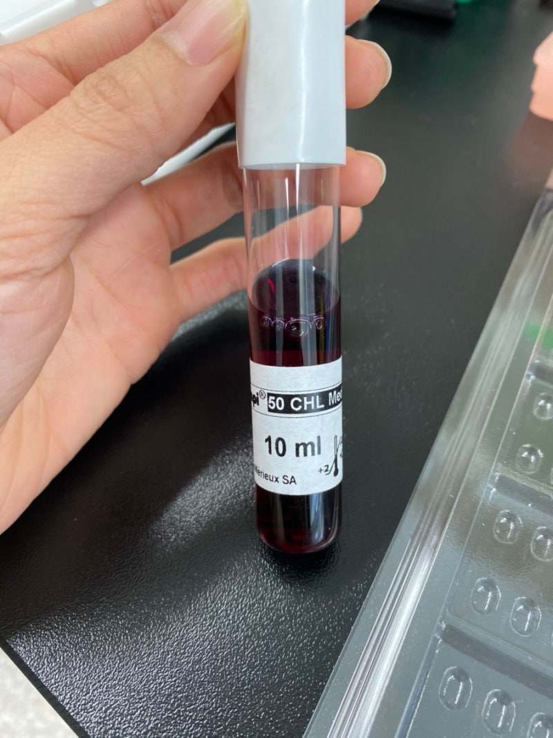 API 50CH, 50 CHL Medium : 네이버 블로그