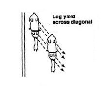 레그일드(Leg-Yield)와 하프패스(Half Pass)의 차이점 : 네이버 블로그