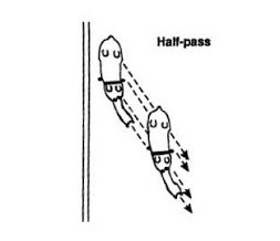 레그일드(Leg-Yield)와 하프패스(Half Pass)의 차이점 : 네이버 블로그