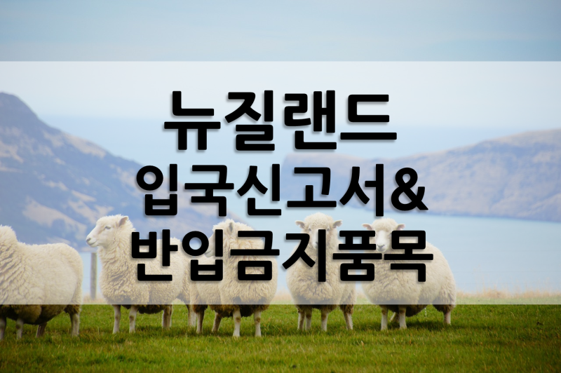 입국신고서 작성법 뉴질랜드 입국신고서 And 세관신고서 반입 금지 물품 면세 한도 뉴질랜드 여행 준비 Feat