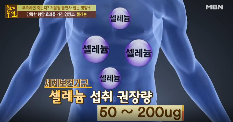 브로콜리broccoli의 효능과 부작용 브로콜리 이것만은 알고 드세요 네이버 블로그