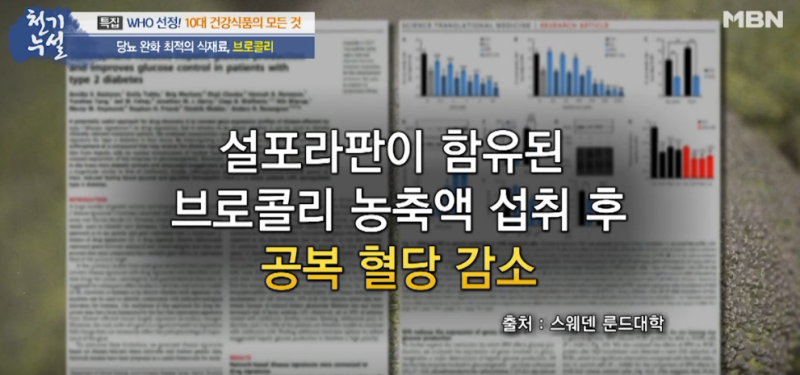 브로콜리broccoli의 효능과 부작용 브로콜리 이것만은 알고 드세요 네이버 블로그