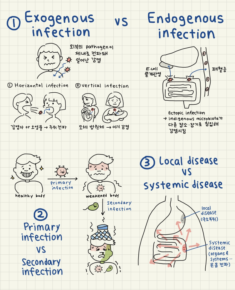 [면역학] Host와 Microbes의 관계 / Pathogen과 Diseases : 네이버 블로그