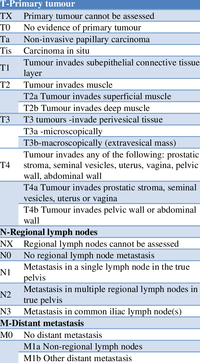 방광암의 병기와 예후(Staging and Prognosis of Bladder Cancer) : 네이버 블로그