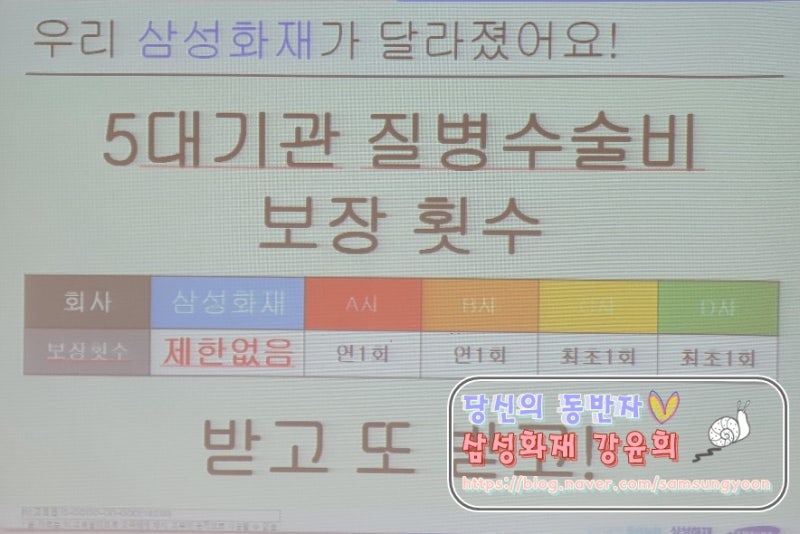 5대주요기관 질병수술비 삼성화재 건강종합보험 태평삼대플러스 네이버 블로그